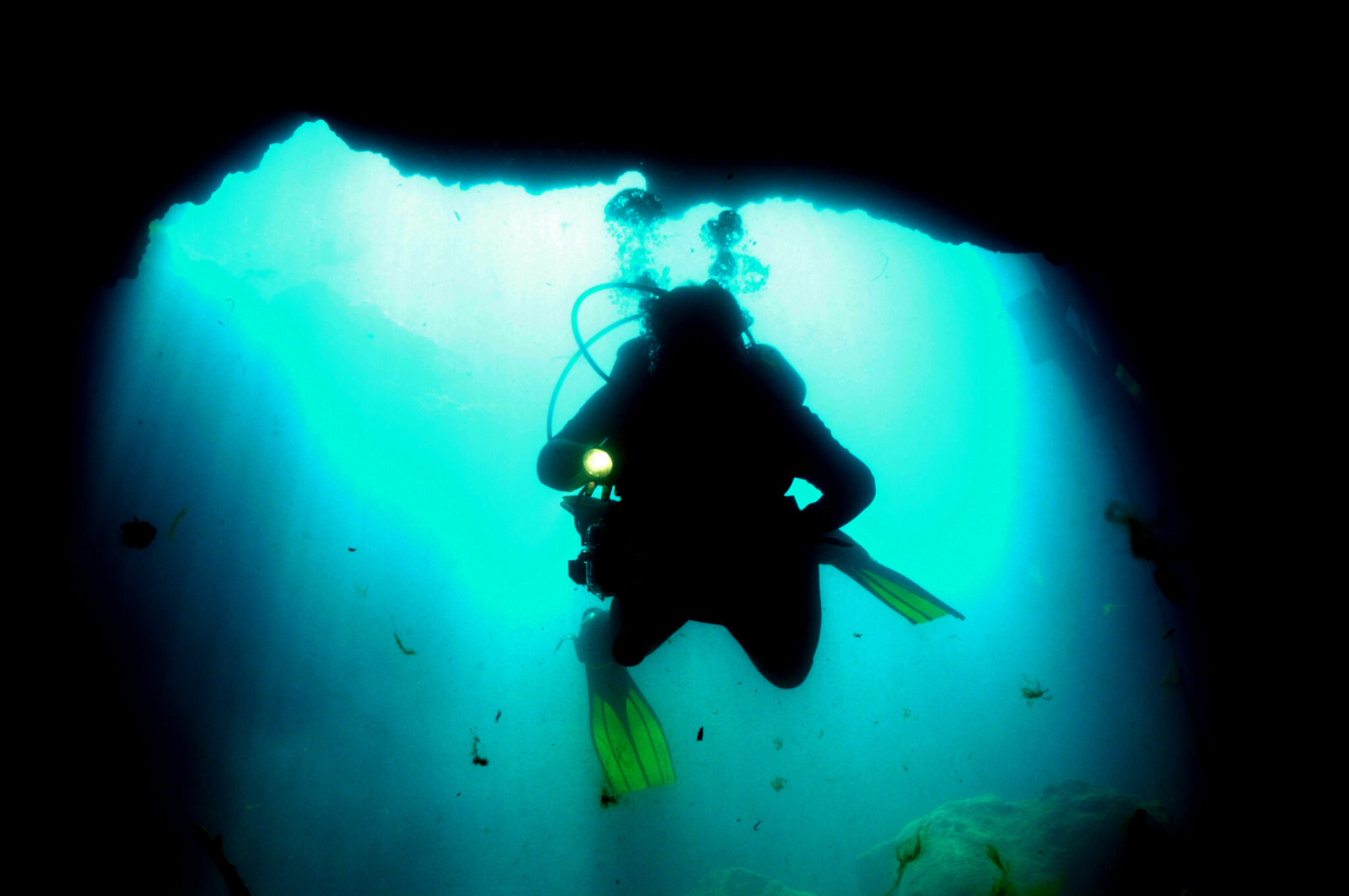 Paradise Springs Florida Spring & Cavern Dive | SCUBA Diving in Florida ...