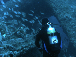 Eagle Shipwreck SCUBA Dive Florida Keys | SCUBA Diving in Florida Info ...
